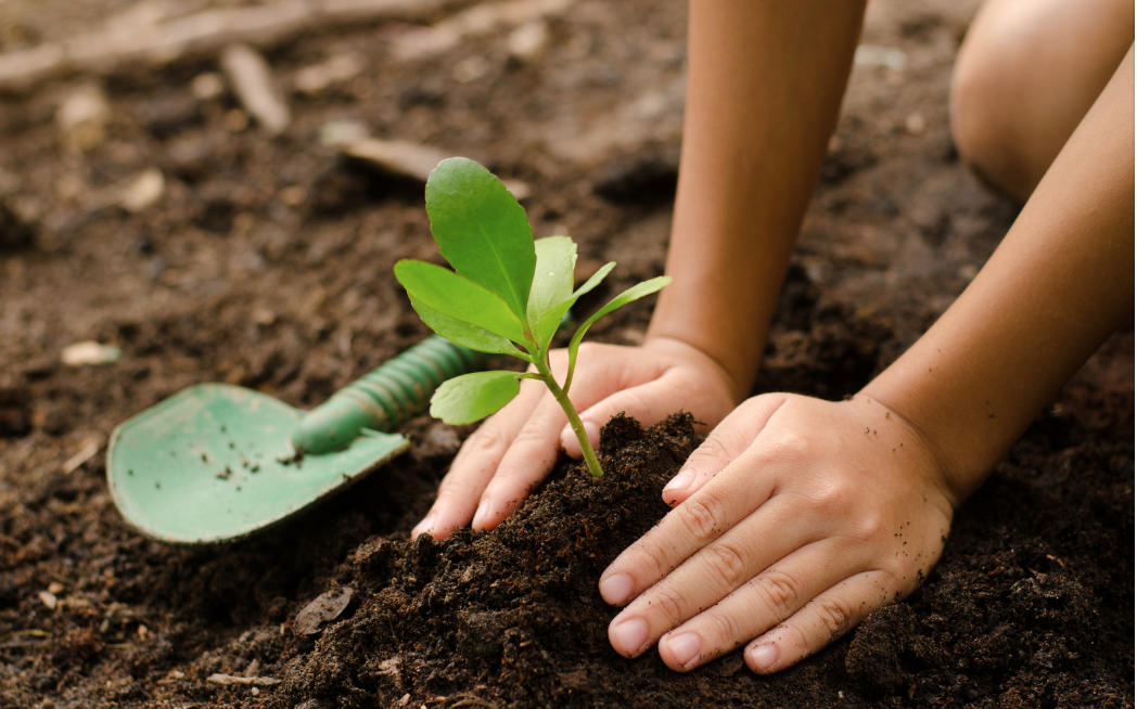 Earthing – How to Relieve Stress